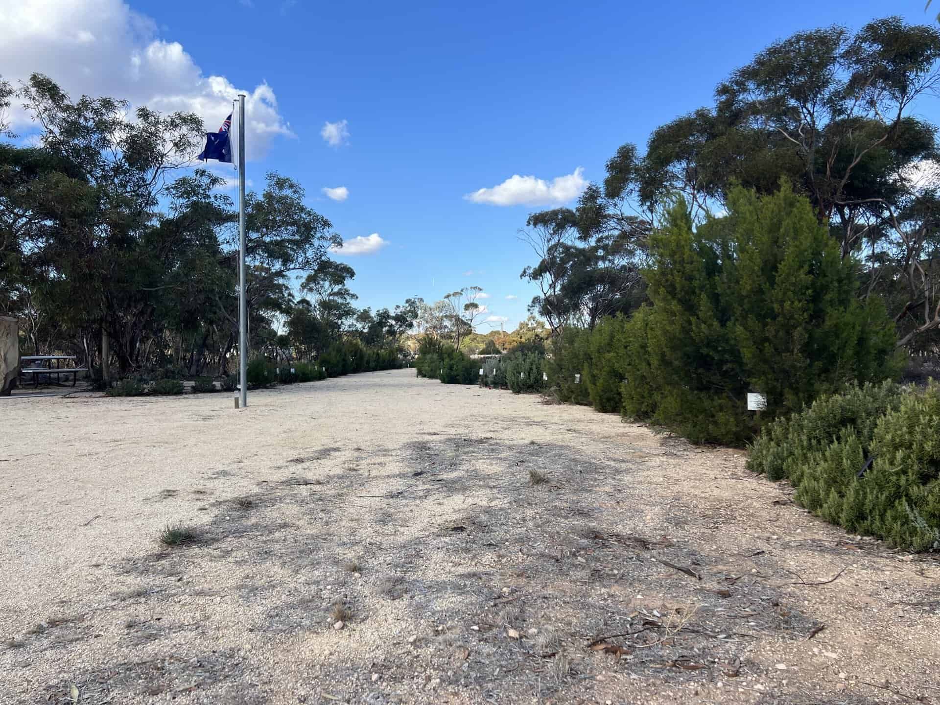 Mantung Avenue of Honour – Avenues of Honour