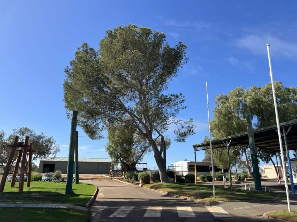 Binnu Primary School Lone Pine – Avenues of Honour